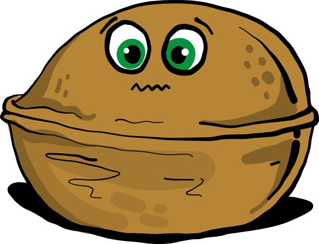 Walnut Eyes Vector Images (over 240)