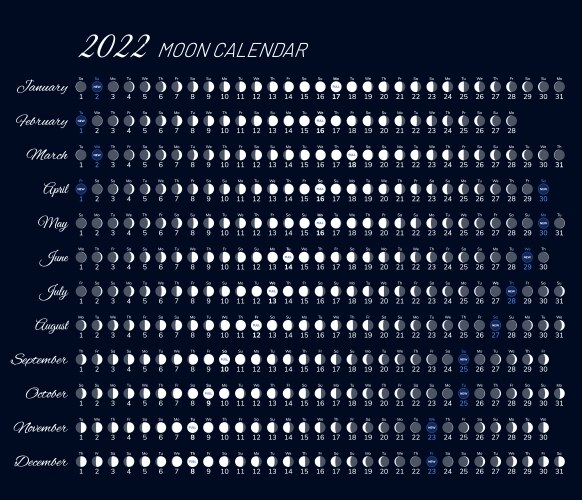 Moon phase calendar 2022 year month cycle planner Vector Image