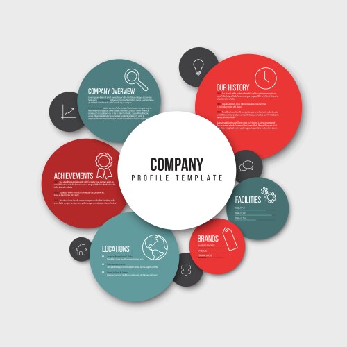 Company infographic profile design template Vector Image