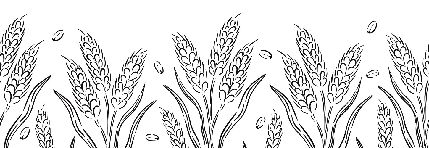 Wheat Border Wheat Ear Dividing Line Border PNG Images | PSD Free