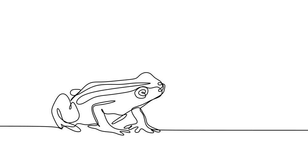 Frog Line Drawing Vector Images (over 2,000)