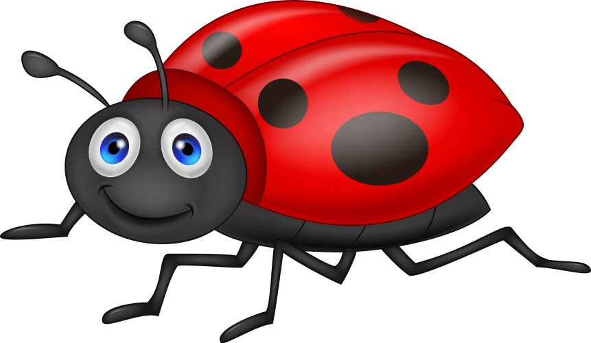 Cute ladybug cartoon Royalty Free Vector Image