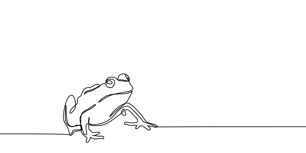 Continuous line drawing of frog future minimalism Vector Image