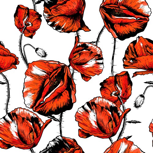 Poppy seamless pattern Royalty Free Vector Image