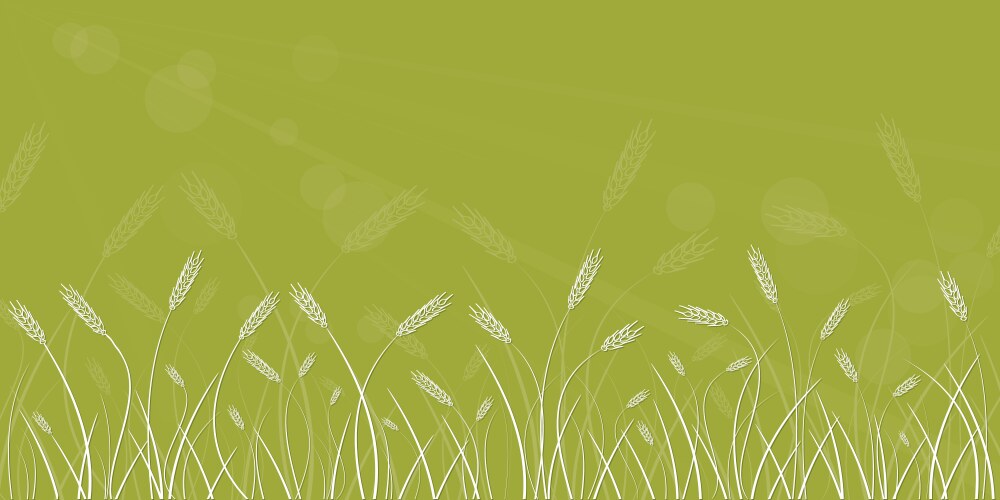 Line Border Vector Images (over 350,000)