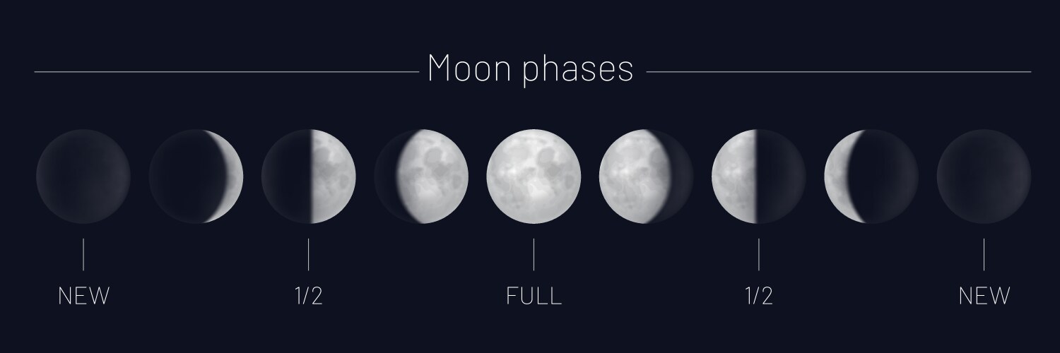 Moon phases whole cycle on night sky moonlight Vector Image