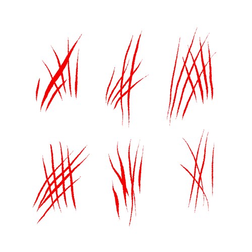 Animal scratches set Royalty Free Vector Image