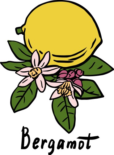 Cartoon groovy bergamot tropical fruit character Vector Image