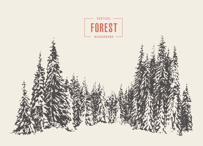 Forest Outline Vector Images (over 100,000)
