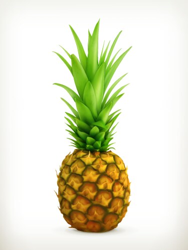 Pineapple Vector Images (over 55,000)