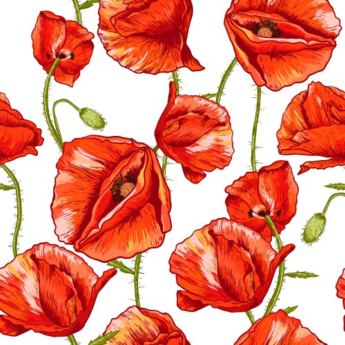 Poppy seamless pattern Royalty Free Vector Image
