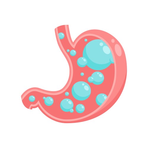 Bloated cartoon stomach character icon Royalty Free Vector