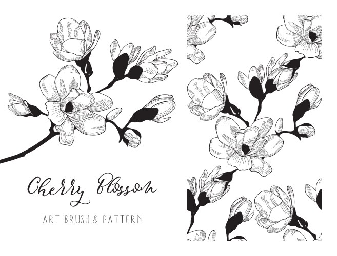 Cherry Blossom Drawing Vector Images (over 6,200)