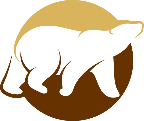 Bear logo concept design template Royalty Free Vector Image