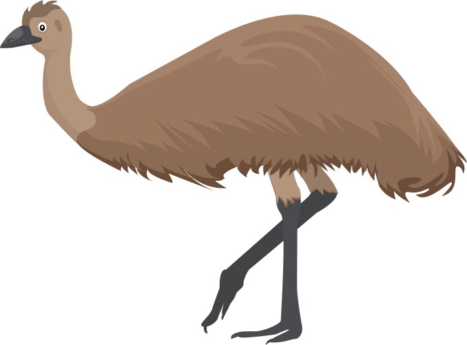 Cartoon Emu Vector Images (over 1,300)