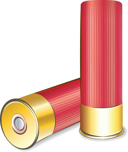 Shotgun cartridge engraving Royalty Free Vector Image