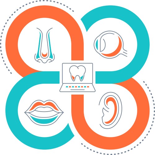Nose anatomy realistic Royalty Free Vector Image