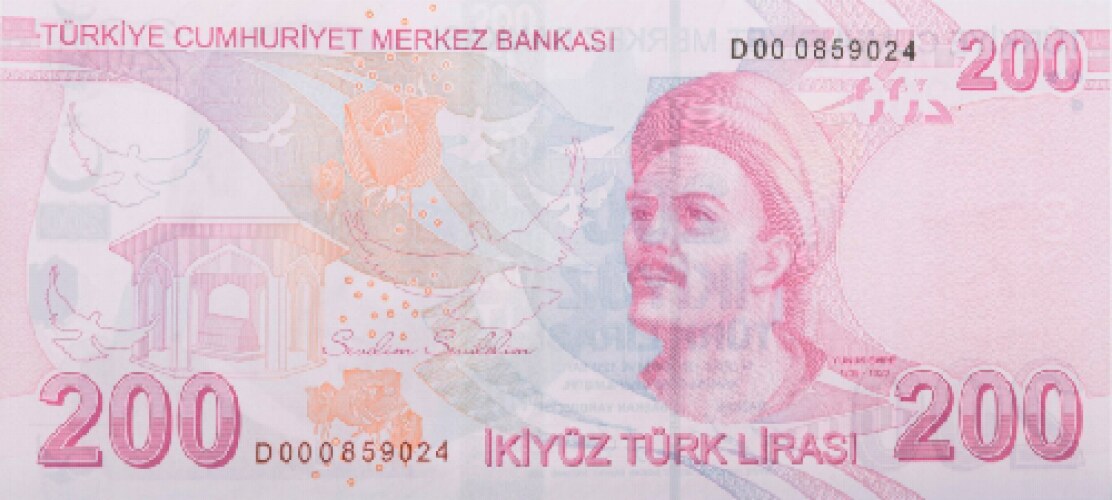 Reverse high polygonal pixel mosaic banknote 2 Vector Image