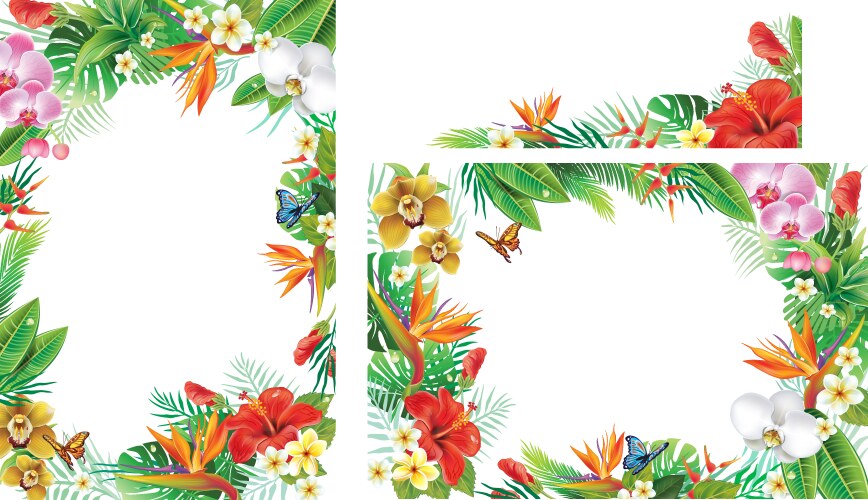 Summer tropical frame design Royalty Free Vector Image