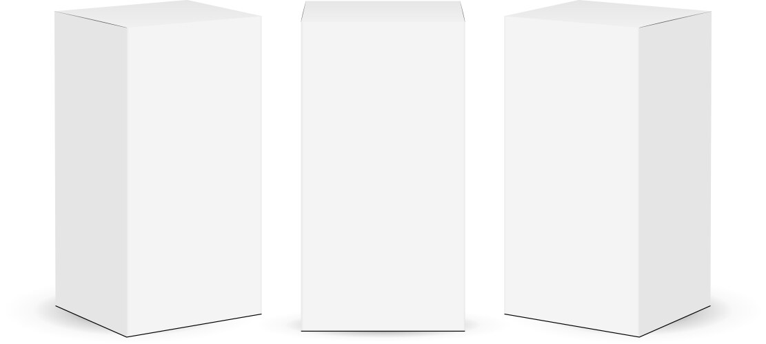 Tall rectangular packaging boxes mockups Vector Image