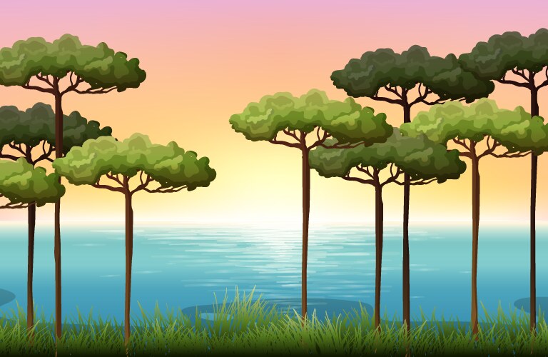 Nature scene with many trees and squirrels Vector Image