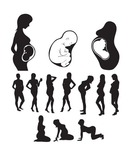 Pregnant Vector Images (over 39,000)