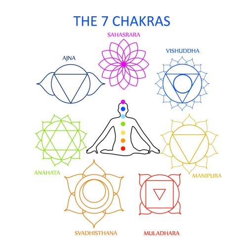 Seven Chakra System Chart Royalty Free Vector Image