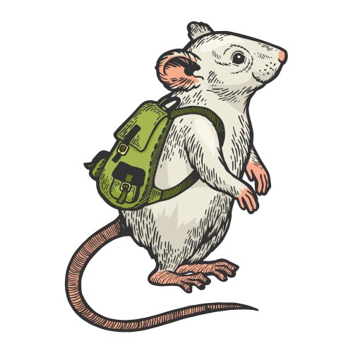 Cartoon rat thief stealing on the bag and running Vector Image