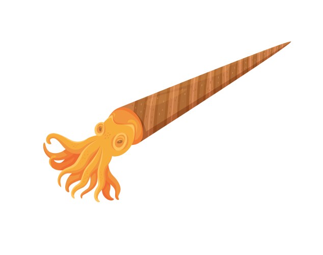 Evolution of life forms on earth concept Vector Image