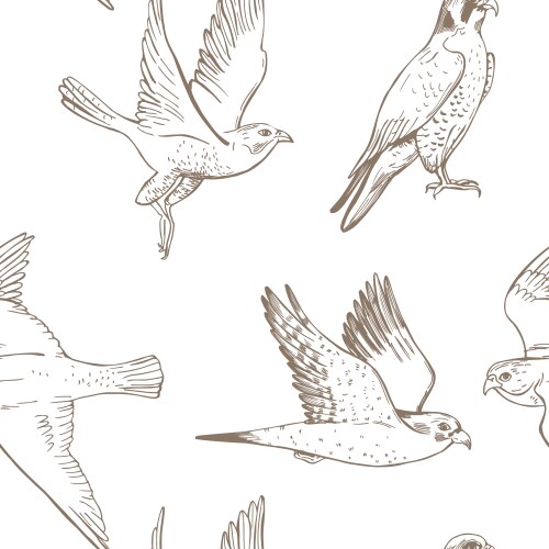 Uae Falcon Vector Images (over 120)