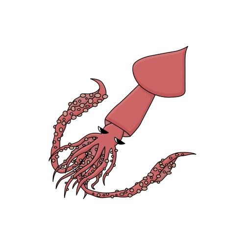 Squid Outline Vector Images (over 2,800)