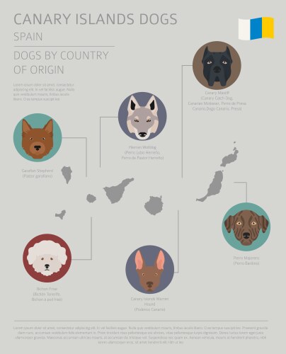Dogs by country of origin spanish dog breeds Vector Image