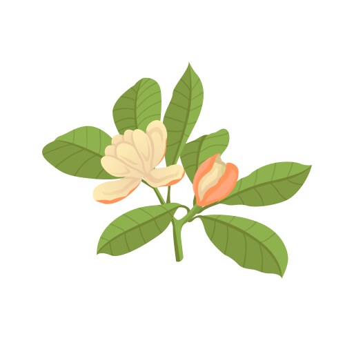 Evolution of life forms on earth concept Vector Image