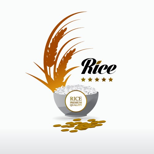 Rice Royalty Free Vector Image - VectorStock