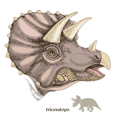 Triceratops Vector Images (over 10,000)