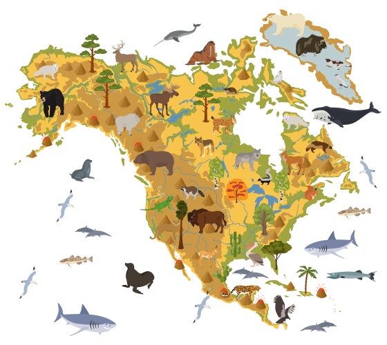 Isometric 3d north america flora and fauna map Vector Image