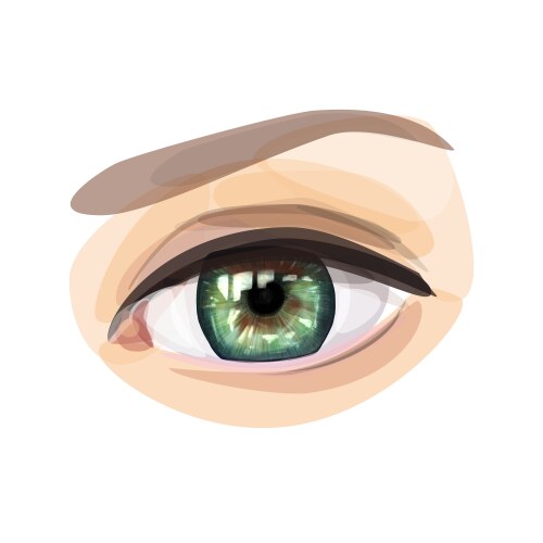 Eye Reflection Vector Images (over 10,000)