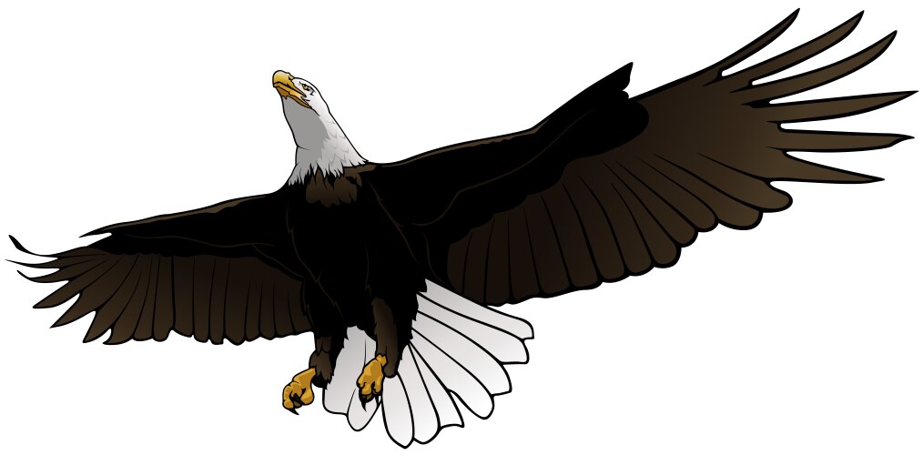 Eagle Royalty Free Vector Image - VectorStock