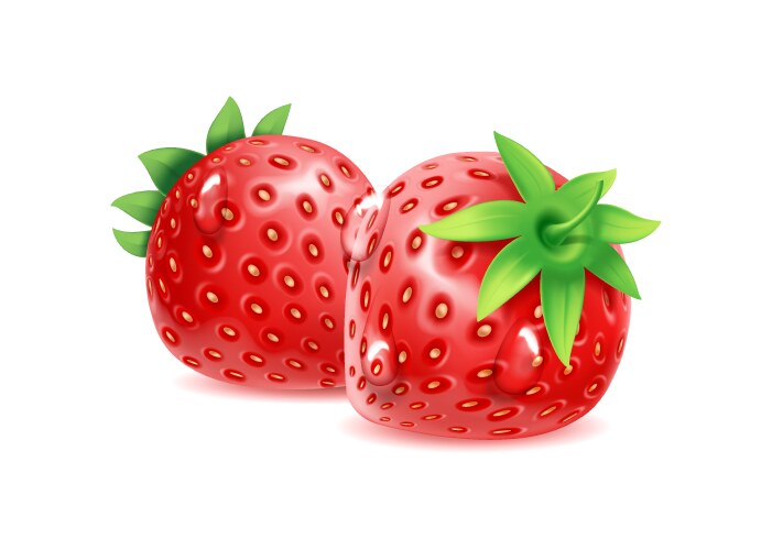 Realistic isolated strawberries Royalty Free Vector Image
