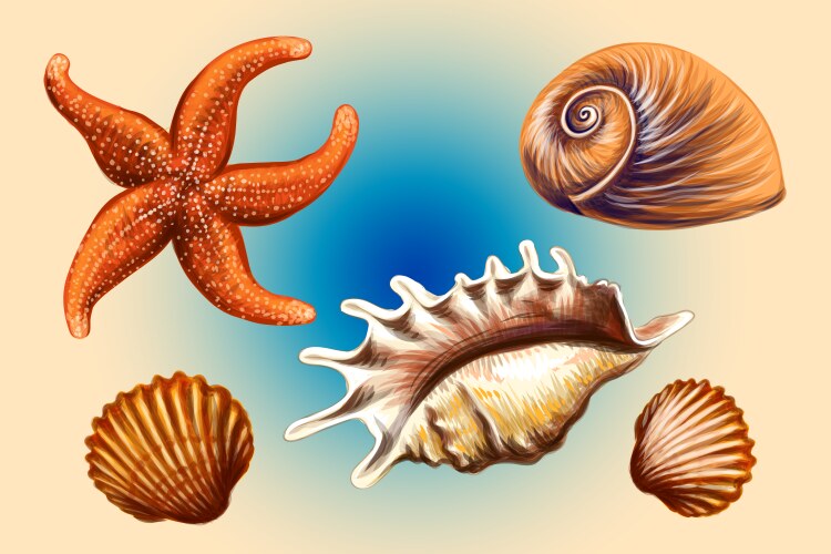 Seashells and starfish set isolated on white Vector Image