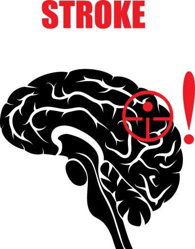 Heart and pacemaker cardiology Royalty Free Vector Image