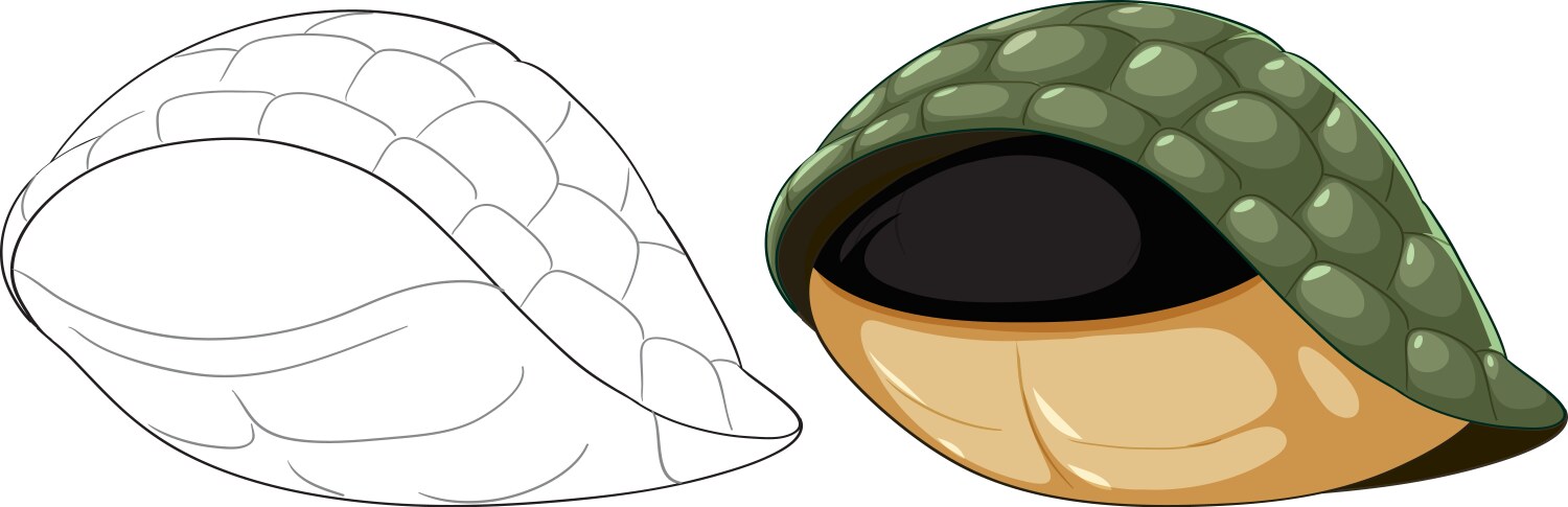 Shell Clipart Vector Images (over 5,800)