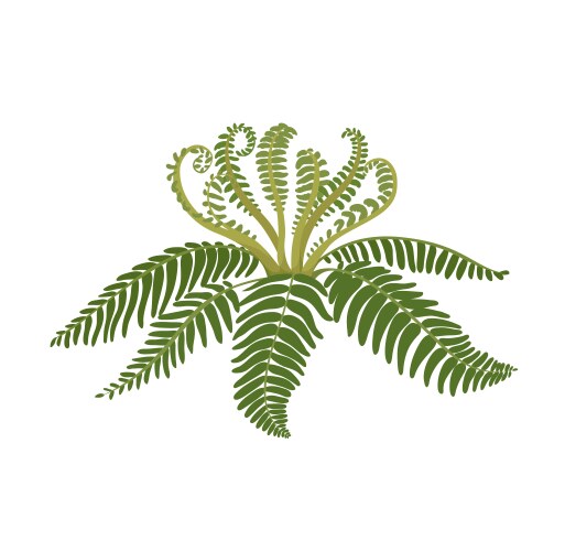 Evolution of life forms on earth concept Vector Image