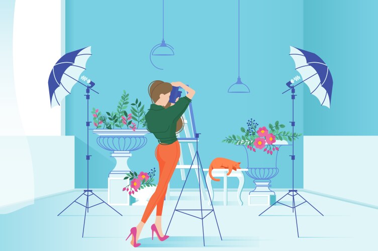 Photography studio photo backdrop and spotlight Vector Image