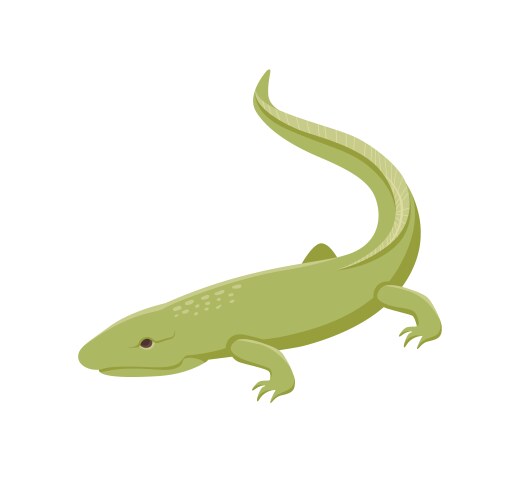 Evolution of life forms on earth concept Vector Image