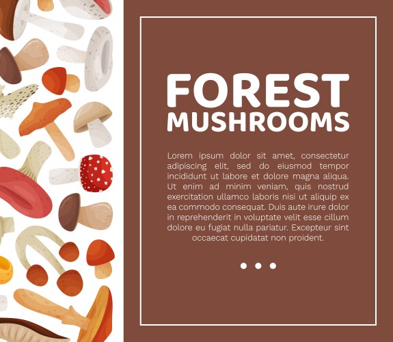 Mushroom banner design with forest plant stem Vector Image