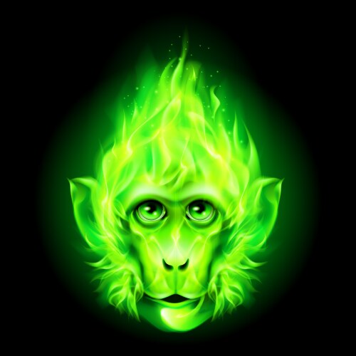Monkey head in fire Royalty Free Vector Image - VectorStock