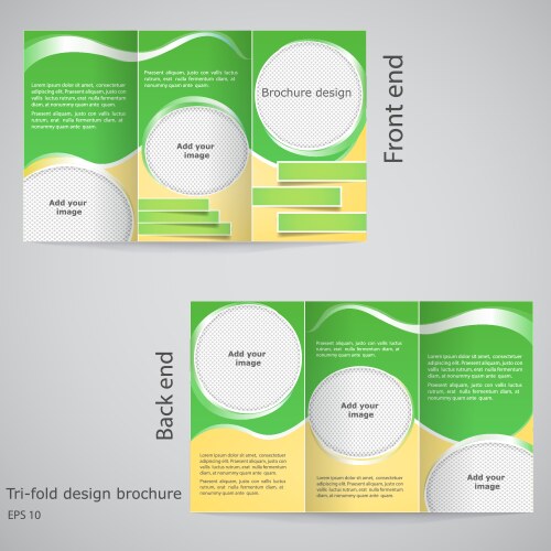 Tri-fold brochure design template Royalty Free Vector Image
