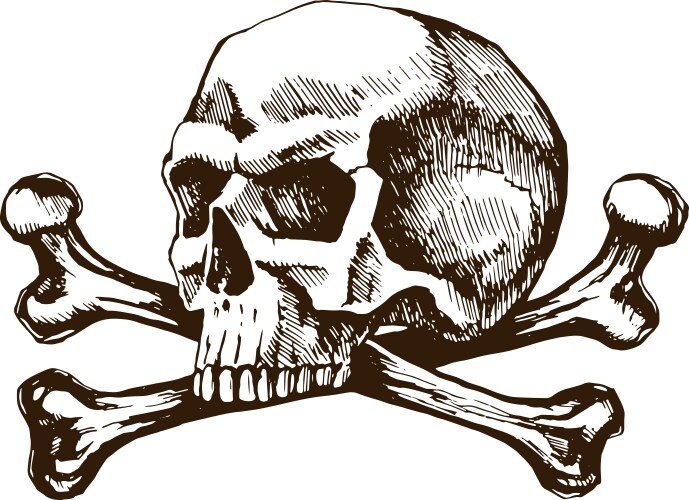 Crossbones Vector Images & Graphics for Commercial Use | VectorStock