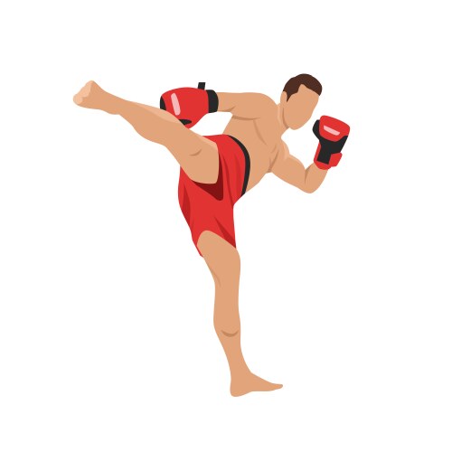 Kickboxer Royalty Free Vector Image - VectorStock